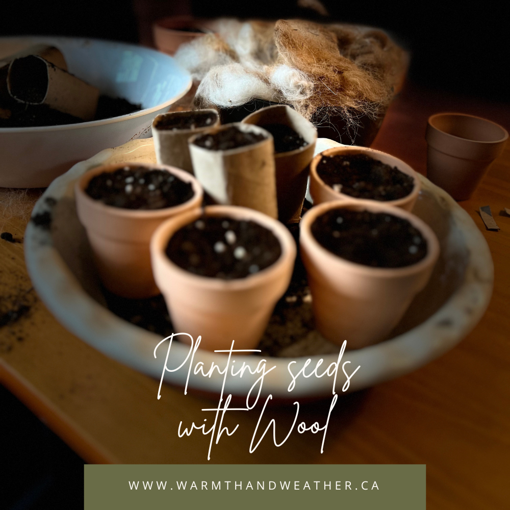 How Wool Helps Growing Plants – Warmth and Weather